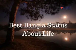 Best Bangla Status About Life | Banglawishes